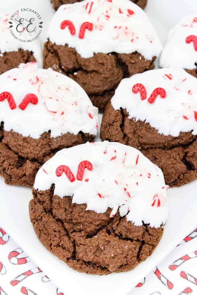 The Best Chocolate Peppermint Cookies Perfect for Christmas