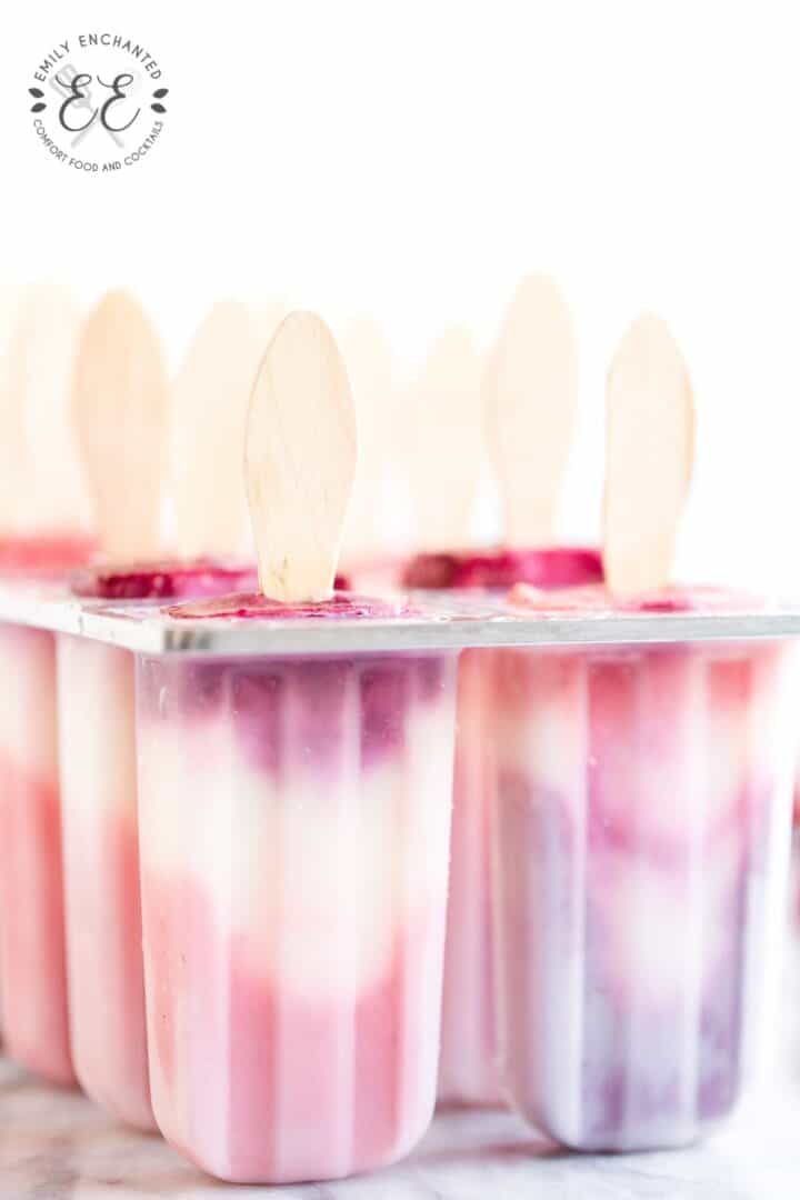 The Best Berry Popsicles Recipe Perfect for Summer