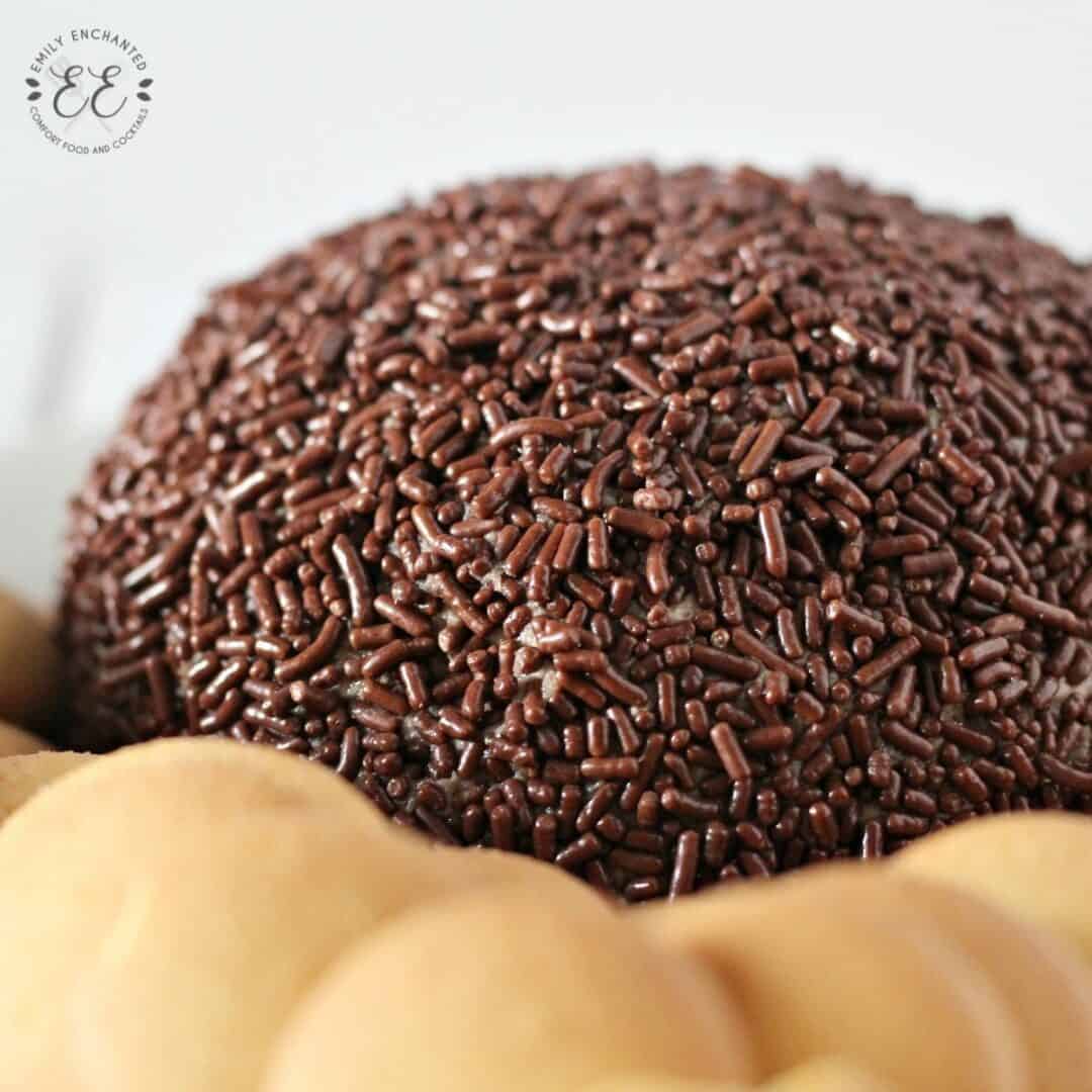 The Best Chocolate Chip Cheese Ball Dessert Dip Recipe