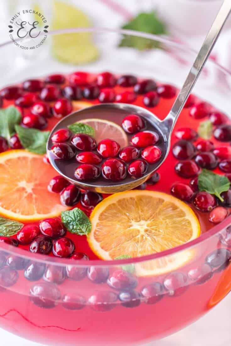 Christmas Punch with Sprite, Mint, Cranberry, Grapefruit and Orange