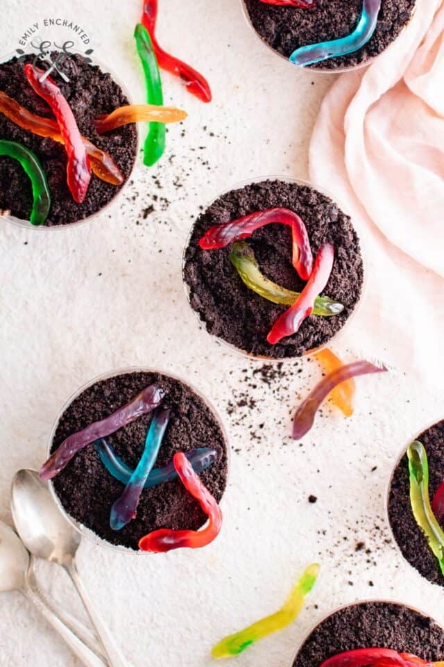 The Best Dirt and Worms Pudding Dessert Fun for the Whole Family