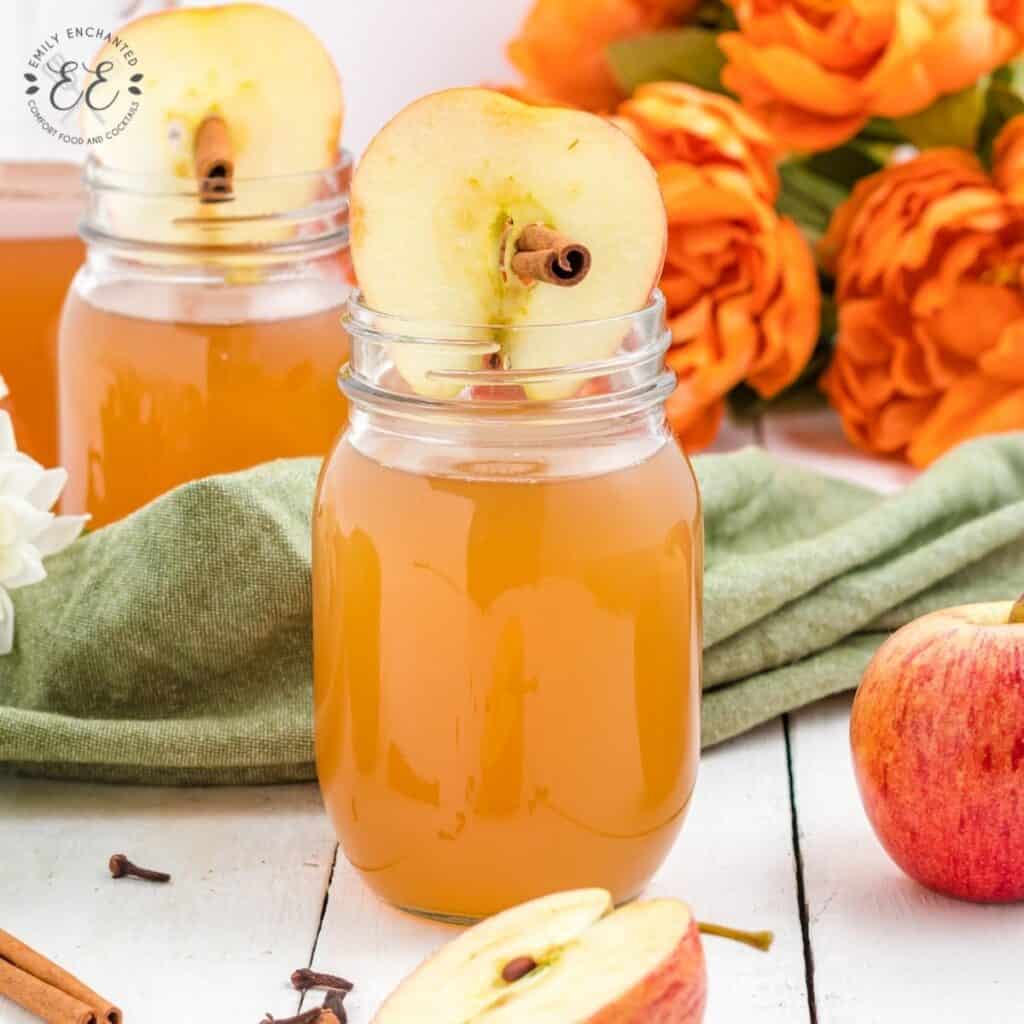 The Best Instant Pot Apple Cider Recipe Perfect for Fall
