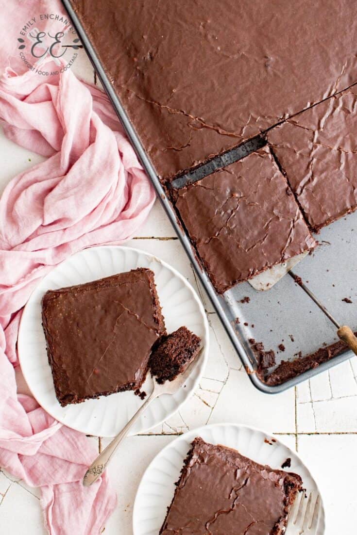 The Best Chocolate Texas Sheet Cake with Chocolate Icing