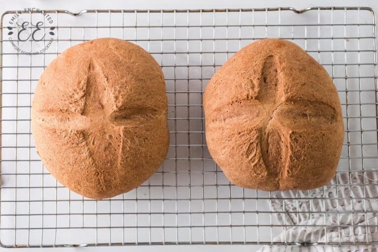 The Best Molasses Bread (Brown Bread Recipe)