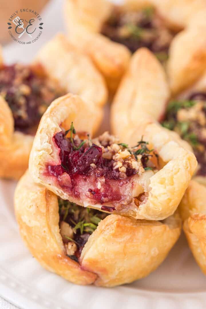 The Best Cranberry Brie Bites Appetizer