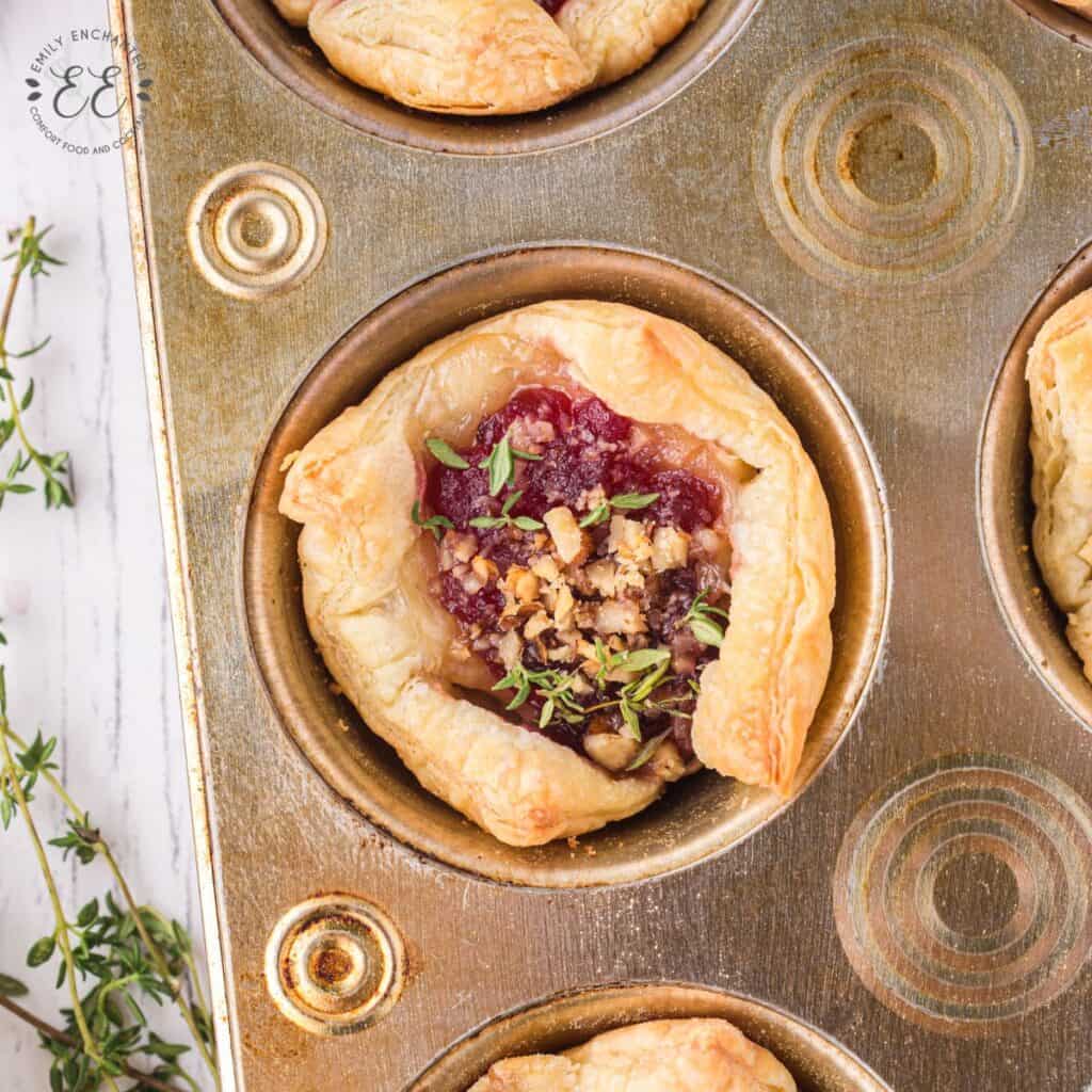 The Best Cranberry Brie Bites Appetizer