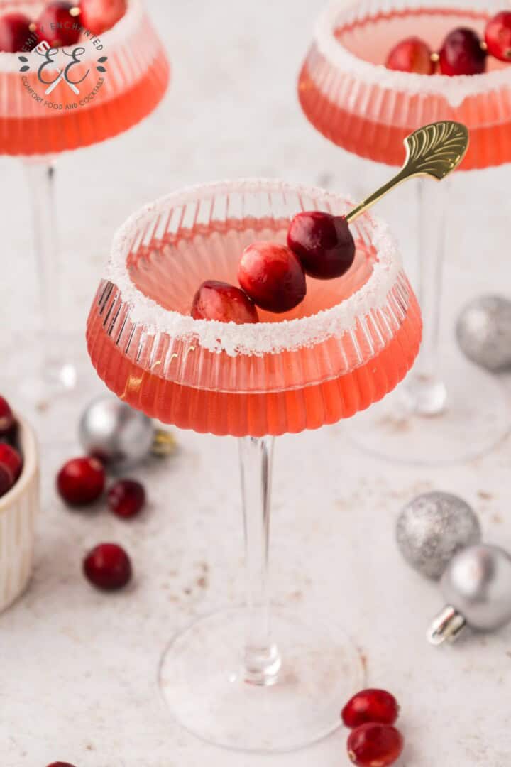 Cranberry Martini